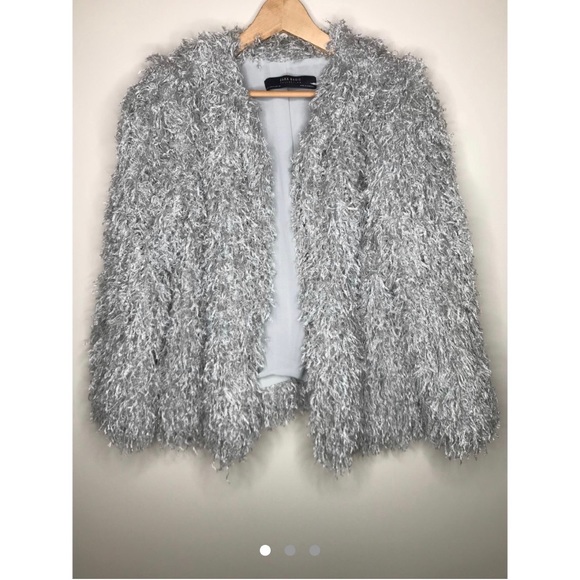 Zara | Jackets & Coats | Zara Shimmer Coat | Poshmark